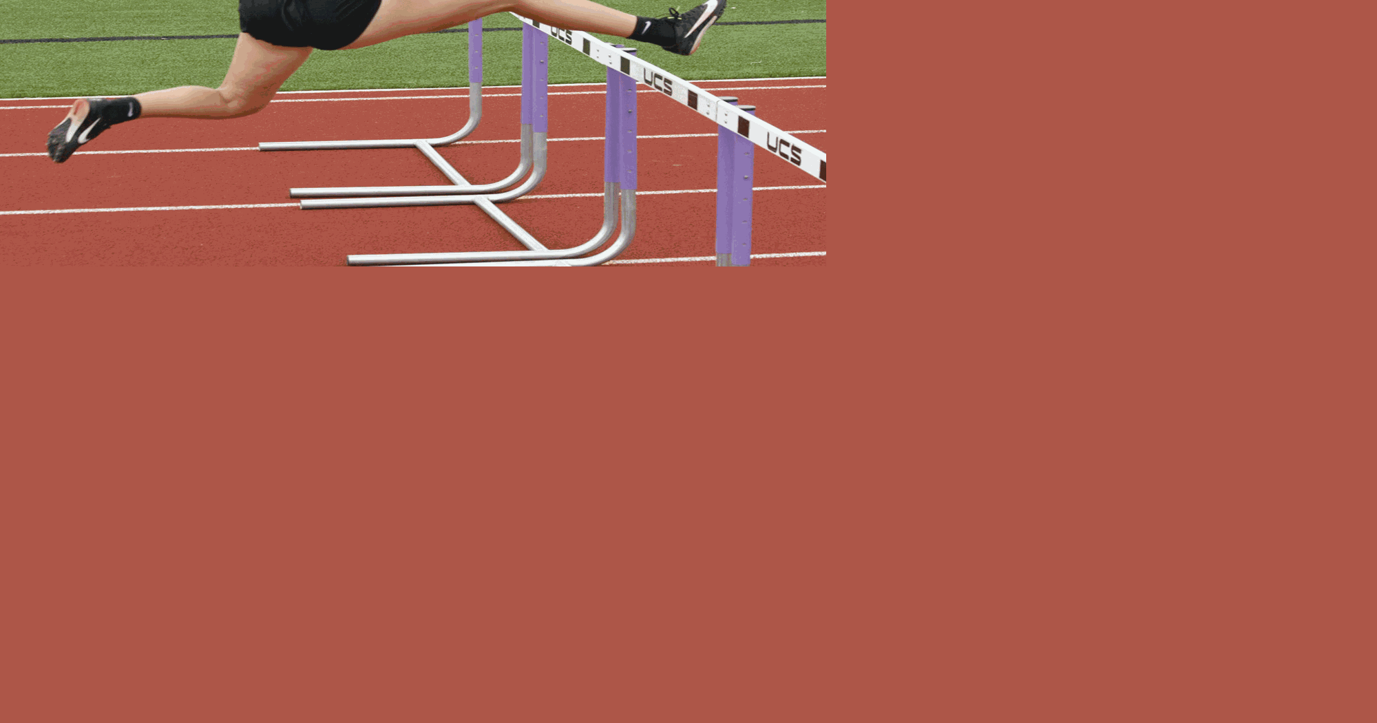 Lady Guardians capture district title | Sports | herald-zeitung.com