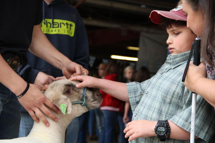 Special Hearts Livestock Show shares love of animals with special needs ...