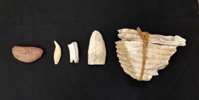 prehistoric artifacts