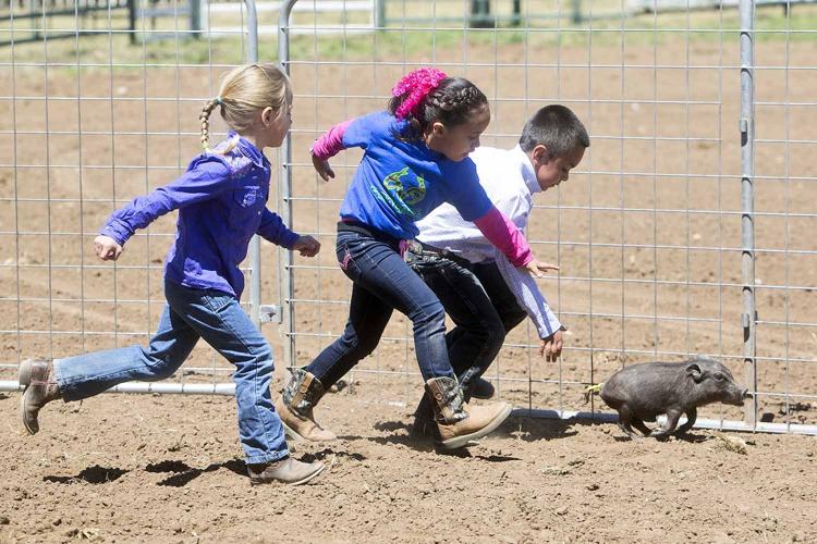 Chili cookoff features fun activities for children | News | herald ...