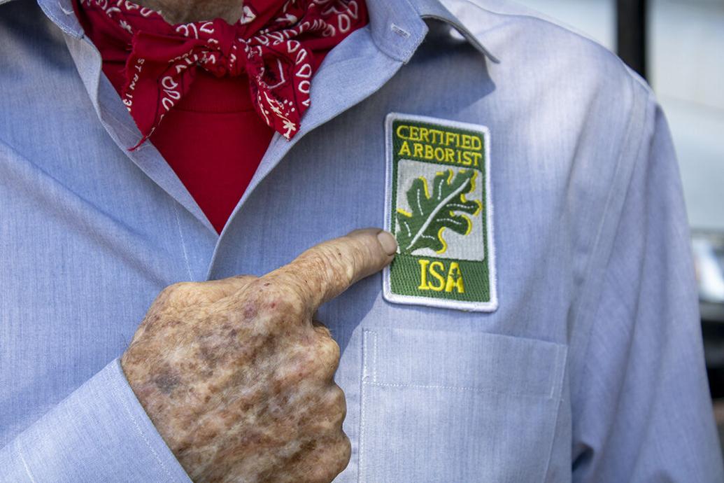 Join arborist Johnny Sevier for a free tree pruning class | News ...