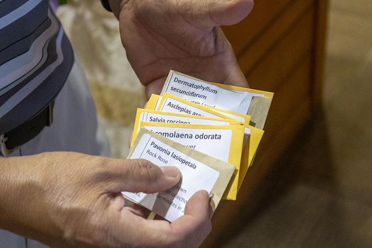 SPROUTING NEW LIFE: Canyon Lake Seed Library offers native plant seeds ...