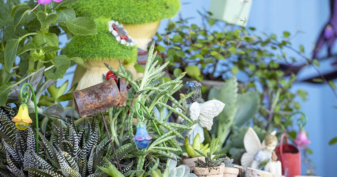 New Braunfels are gardening calendar for June 2026 | Lifestyle | herald ...
