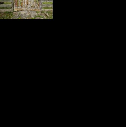 THIS OLD HOUSE: Historic Polish cabins still stand in the Hill Country ...