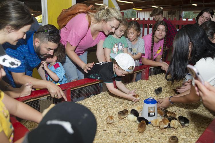 Comal County Fair in full swing after opening night festivities ...