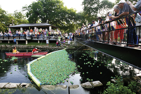 Frog Race slated for Friday | Local News | herald-zeitung.com