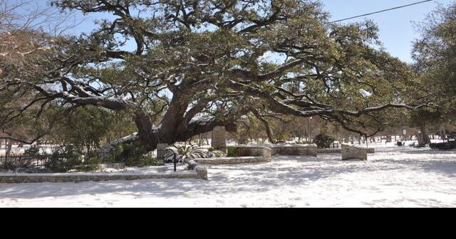 Landa Park trees, landmarks have a rich history of area | Community ...