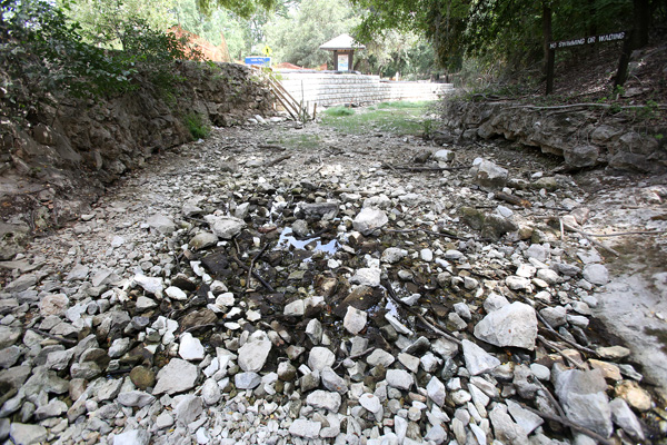 Nearing Stage IV: Comal Springs flow, Edwards Aquifer levels continue ...