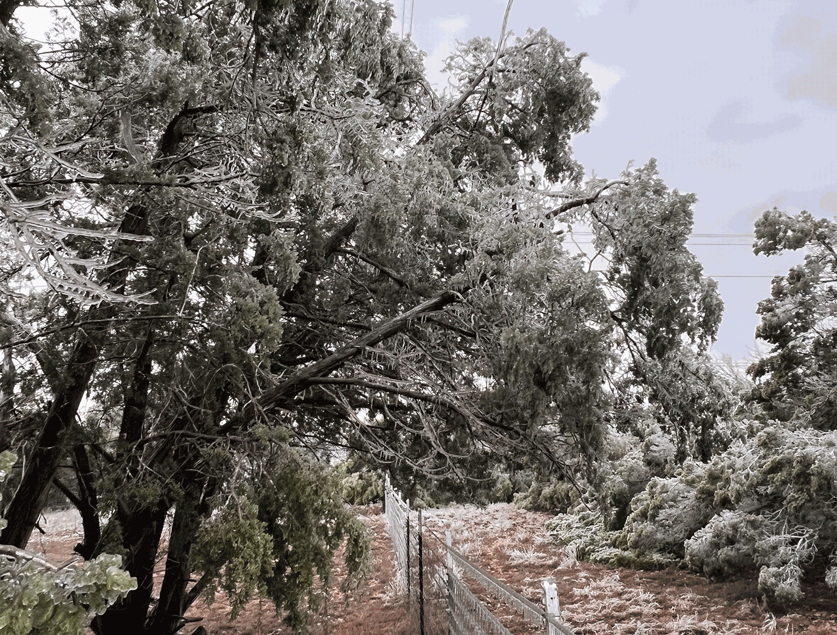 Comal County to receive over $240K in federal funds for ice storm ...