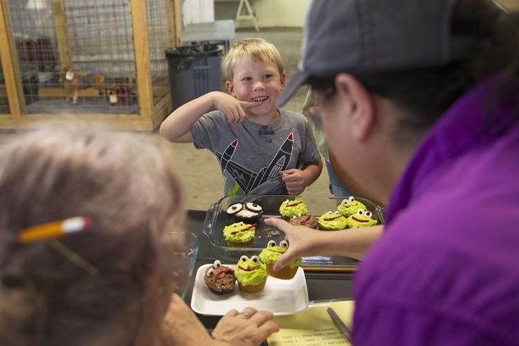 Comal County Fair kicks off with exhibit judging | Community Alert ...