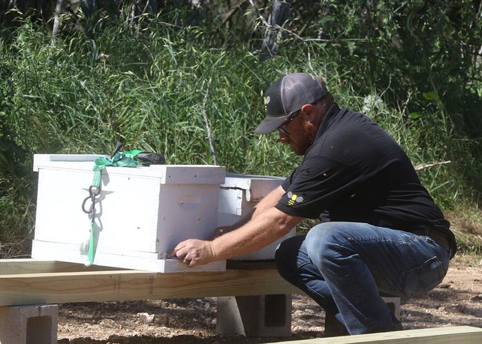 THE SWEETEST STING: Charlie Bee Company makes move from New Braunfels ...