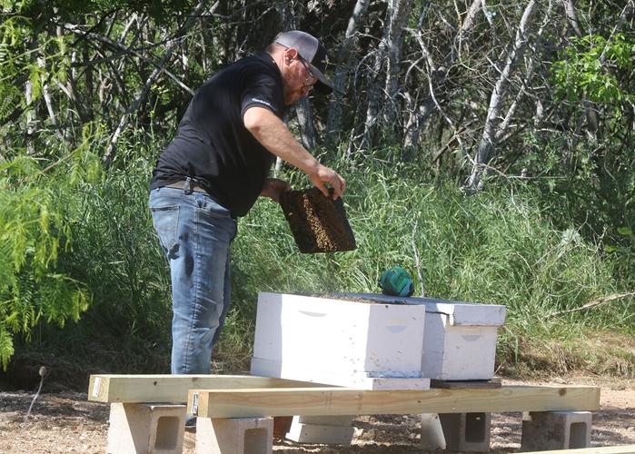 THE SWEETEST STING: Charlie Bee Company makes move from New Braunfels ...