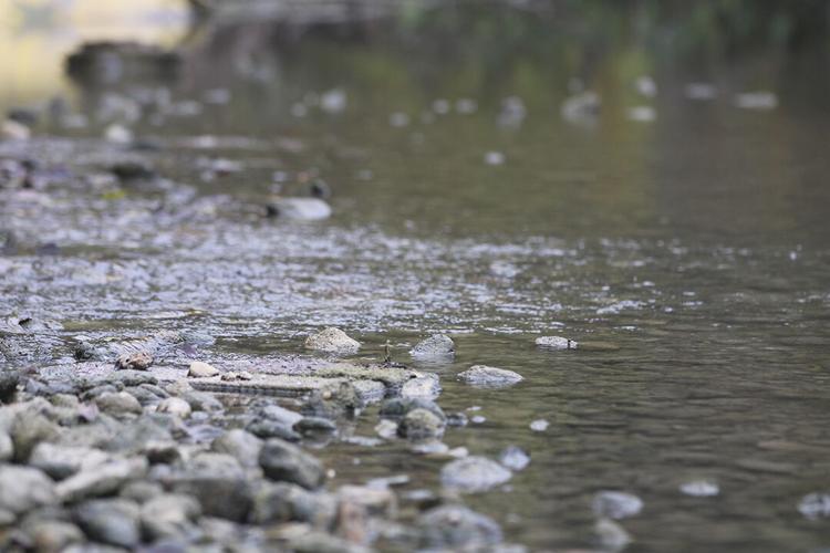 GBRA adds artificial habitat to Lake Dunlap to boost fish populations ...