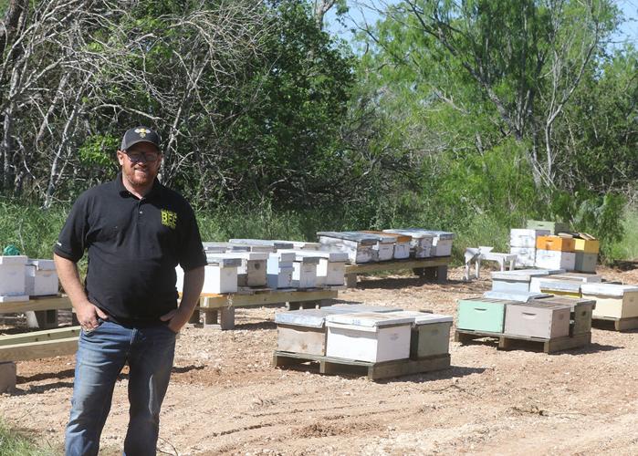 THE SWEETEST STING: Charlie Bee Company makes move from New Braunfels ...