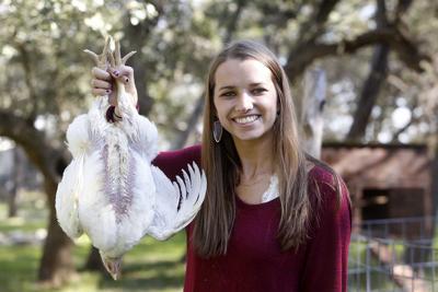 Birds of a feather: Family and their flock compete in Jr. Livestock ...
