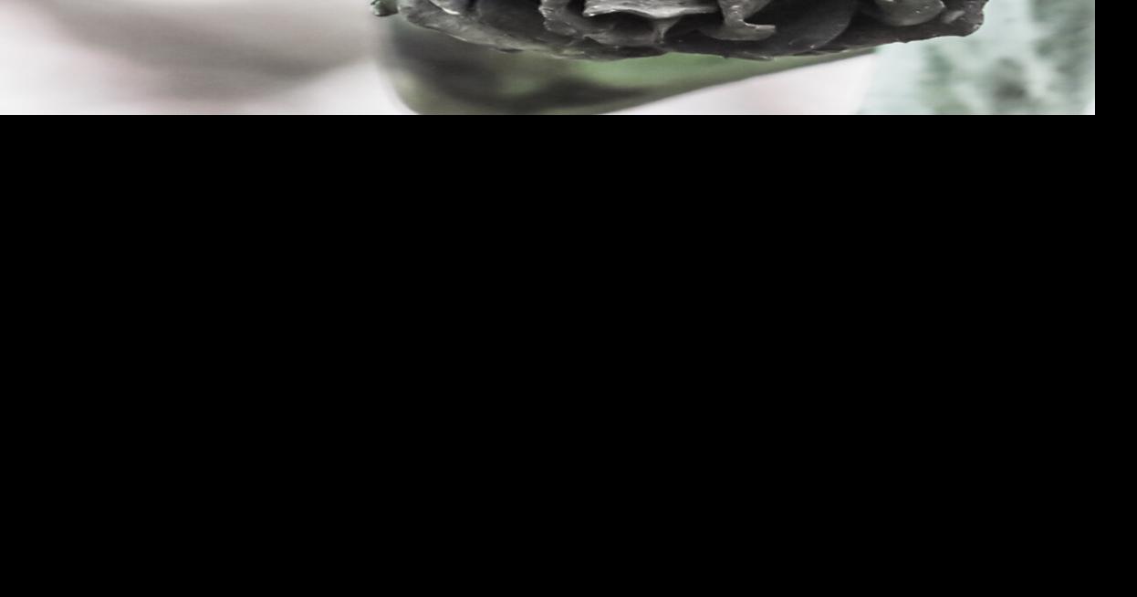 Anthony “Tony” Friesenhahn | Obituaries | herald-zeitung.com