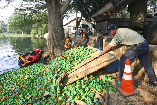 Frog Race winners announced | Local News | herald-zeitung.com