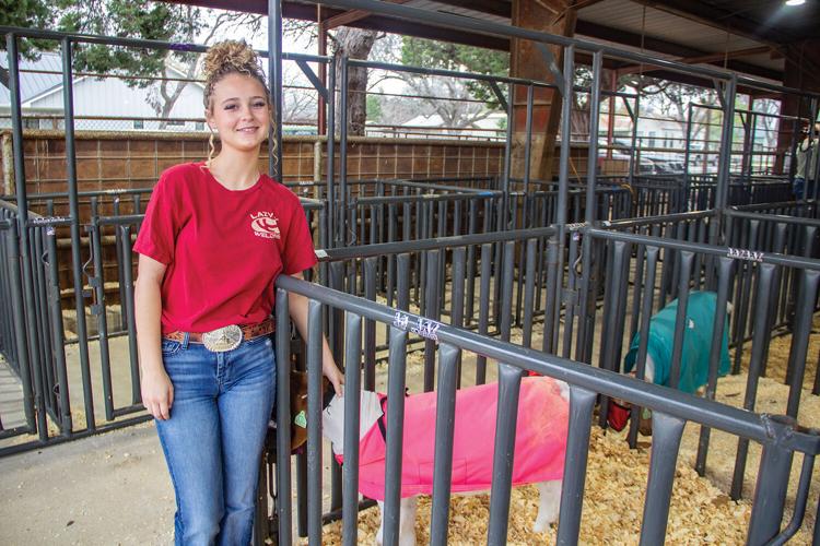 Goats kick off Comal County Jr. Livestock Show | News | herald-zeitung.com