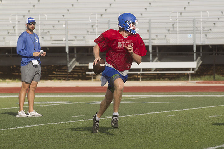 Countdown to kickoff 2022 | Sports | herald-zeitung.com