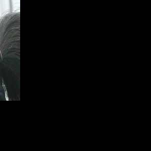 Wurstfest attendees show off commemorative hat pins | Local News ...