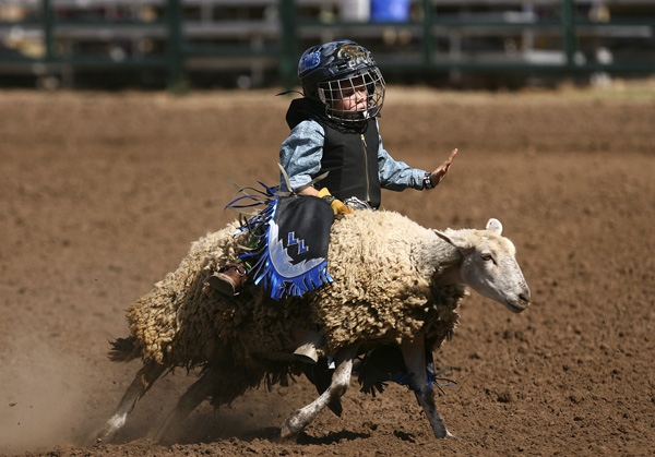 Extreme pro rodeo puts on show at fairgrounds | Local News | herald ...