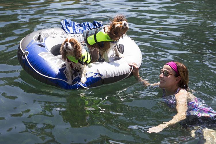 SEE SPOT SPLASH: New Braunfels' Landa Park Aquatic Complex hosts Doggie ...