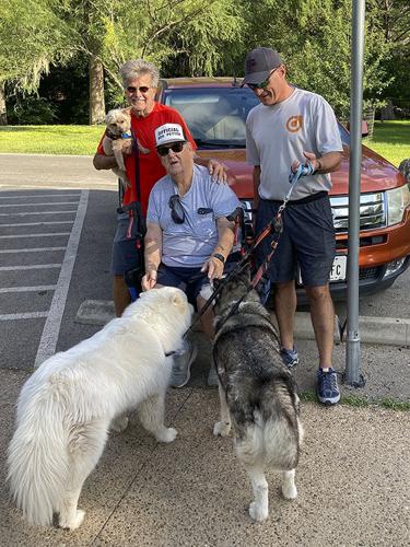 ‘Professional Dog Petter’ keeps making friends | Community Alert ...