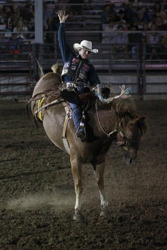 To The Rodeo We Go | News | herald-zeitung.com