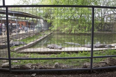 WEIRD, WILD & WONDERFUL: A sampling of stories from the New Braunfels H ...