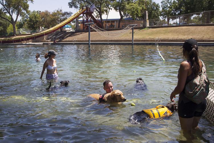 SEE SPOT SPLASH: New Braunfels' Landa Park Aquatic Complex hosts Doggie ...