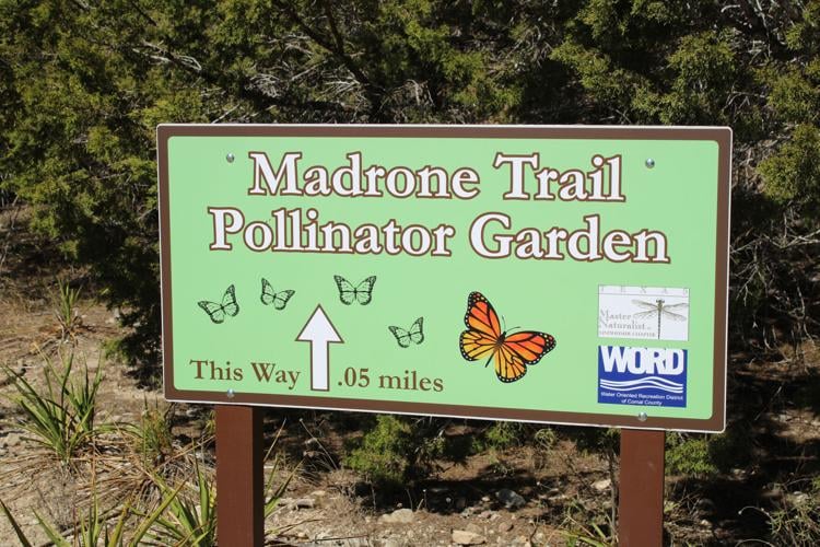Comal County's Madrone Trail opens new pollinator garden | News ...