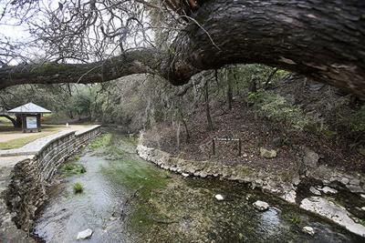Haag, friends celebrate Comal GCD bill | News | herald-zeitung.com