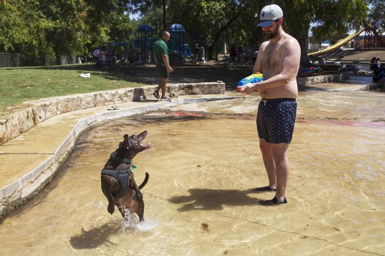 SEE SPOT SPLASH: New Braunfels' Landa Park Aquatic Complex hosts Doggie ...