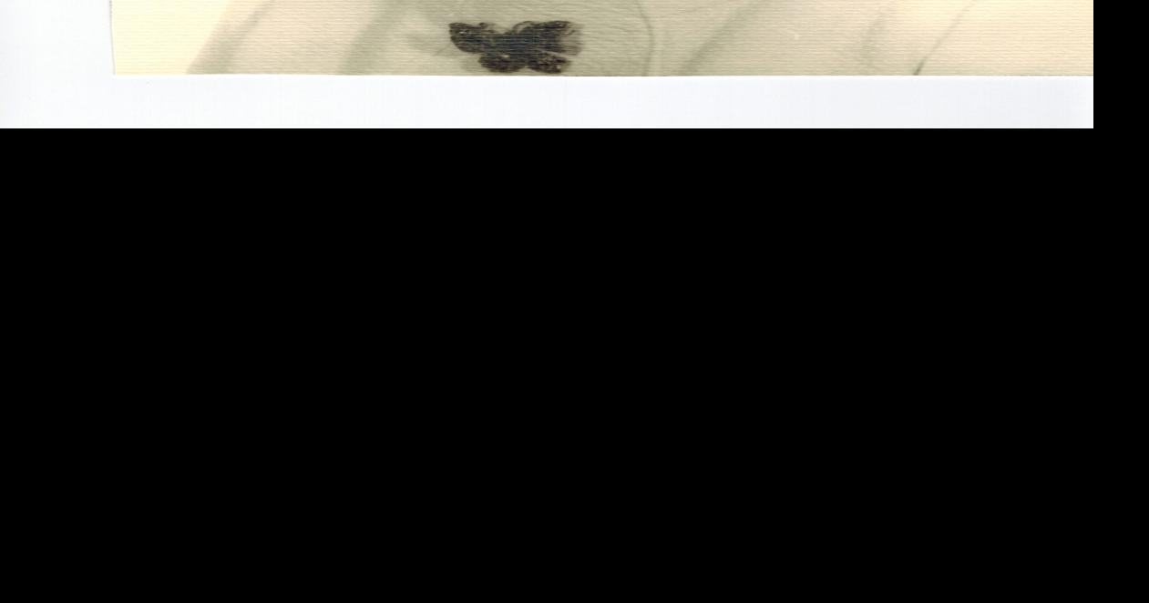 Emma Lance La Forge | Obituaries | herald-zeitung.com