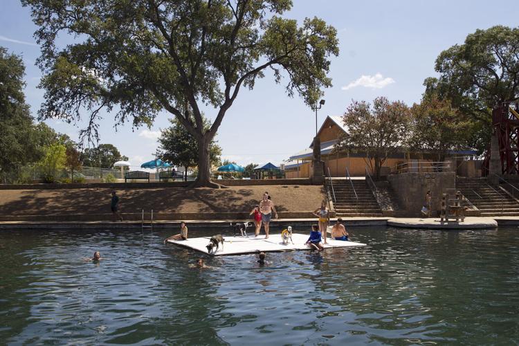 SEE SPOT SPLASH: New Braunfels' Landa Park Aquatic Complex hosts Doggie ...