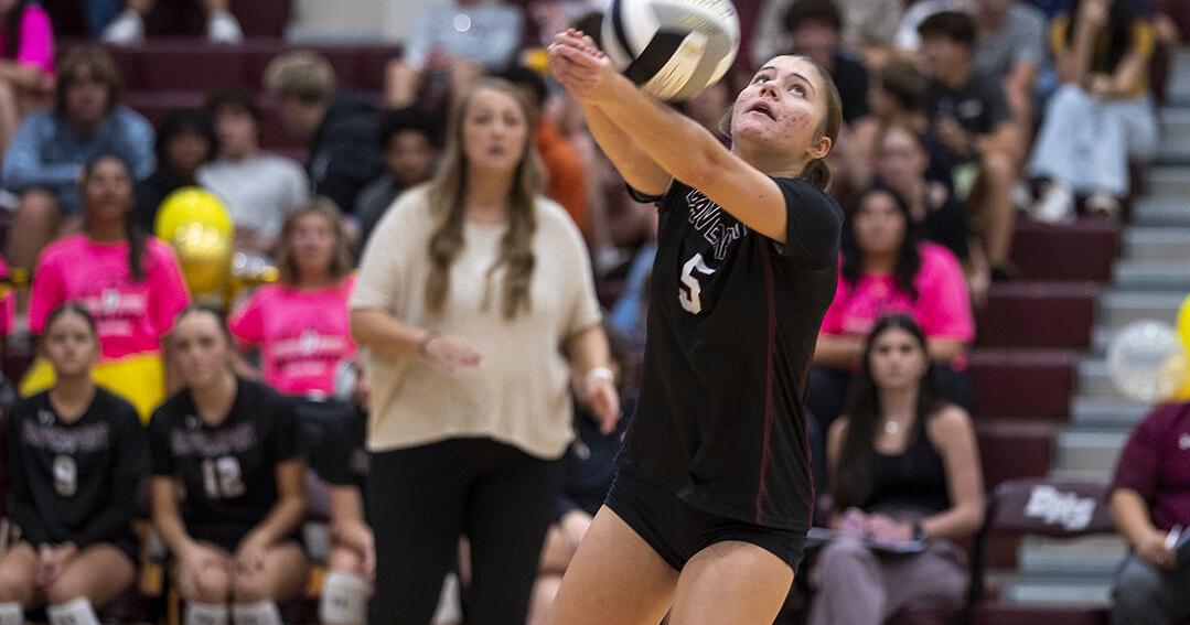 Wolves sweep Hawks in district bout | Sports | herald-zeitung.com