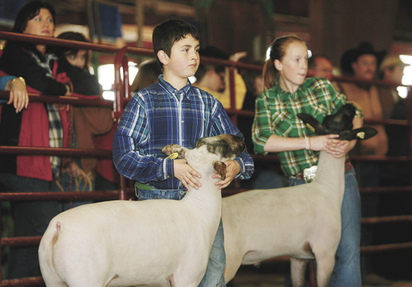 'We're All In! promotes livestock sales, raises youngsters’ self-esteem ...