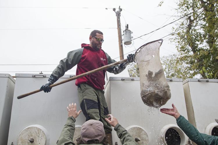 Guadalupe River Trout Unlimited | Multimedia | herald-zeitung.com