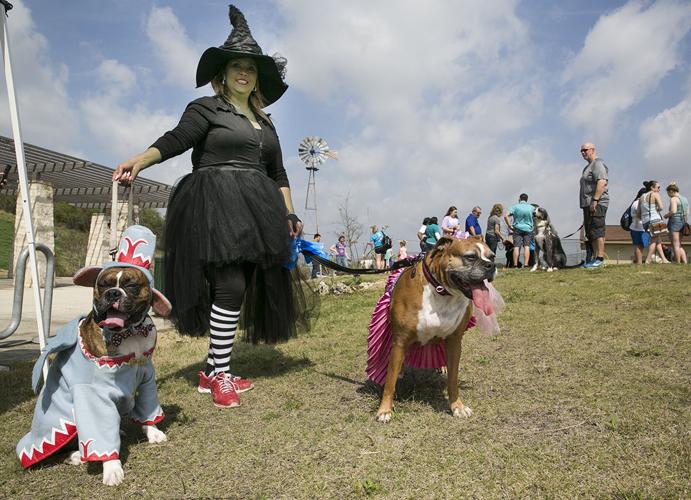 Dog Rodeo | Multimedia | herald-zeitung.com