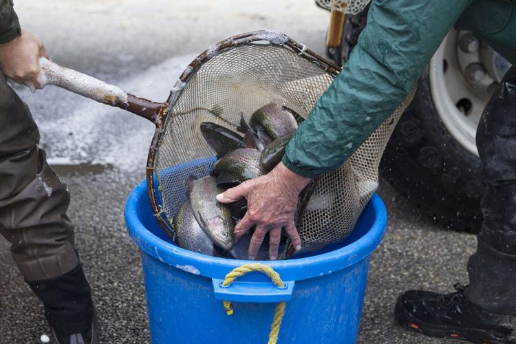 Guadalupe River Trout Unlimited | Multimedia | herald-zeitung.com