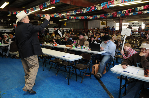 WORTH THE WEIGHT: Junior Livestock Show participants sell their animals ...
