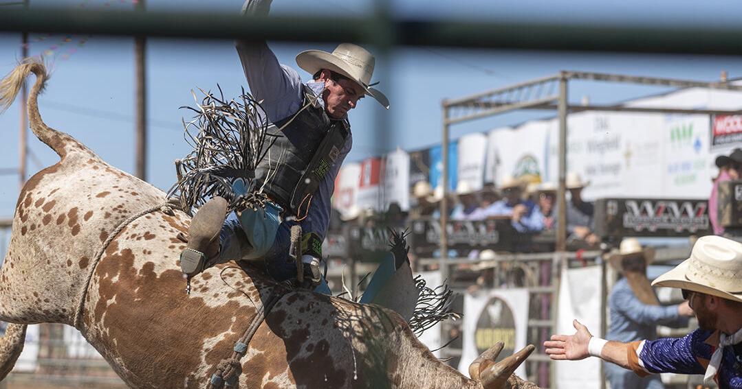 GALLERY: Comal County Fair & Rodeo delivers thrills and spills in New ...