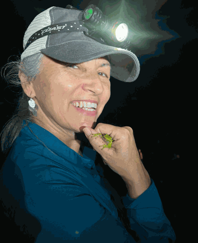 PROSAPIO: Circle of life — a ribbit-ing adventure | Community Alert ...