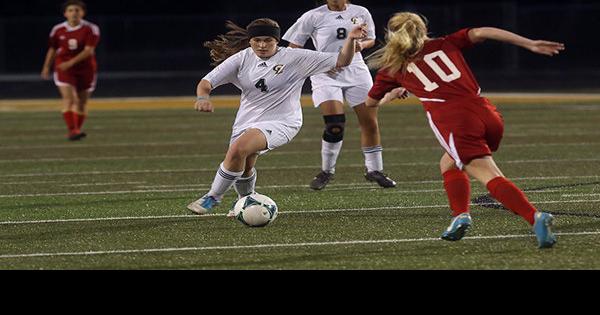Christy Fowler’s dedication may help Hawks take off | Sports | herald ...