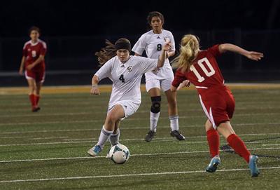 Christy Fowler’s dedication may help Hawks take off | Sports | herald ...