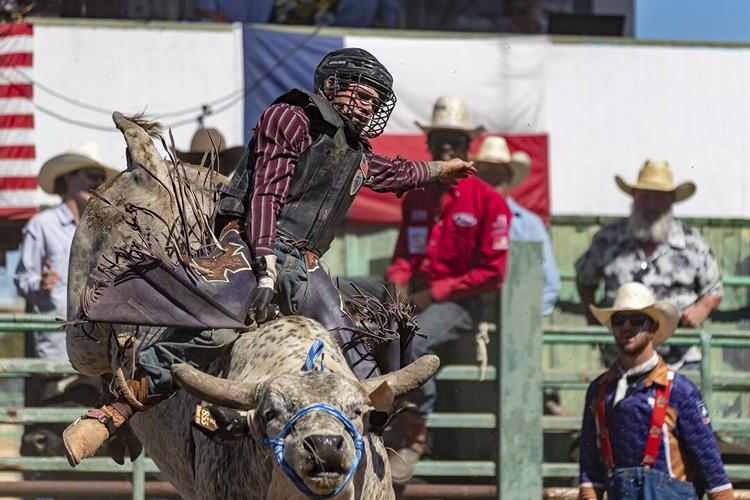 WHERE GRIP MEETS GRIT: Backyard bull riding draws crowd to Comal County ...