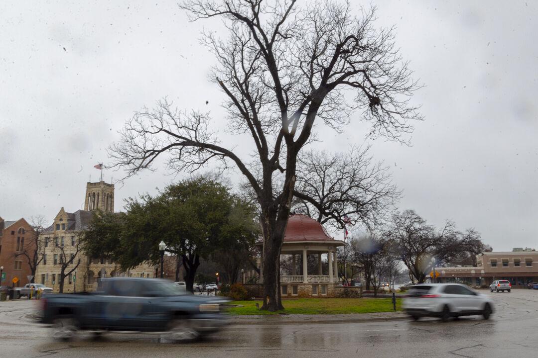Decay, fungus lead to city of New Braunfels' decision to remove 150 ...
