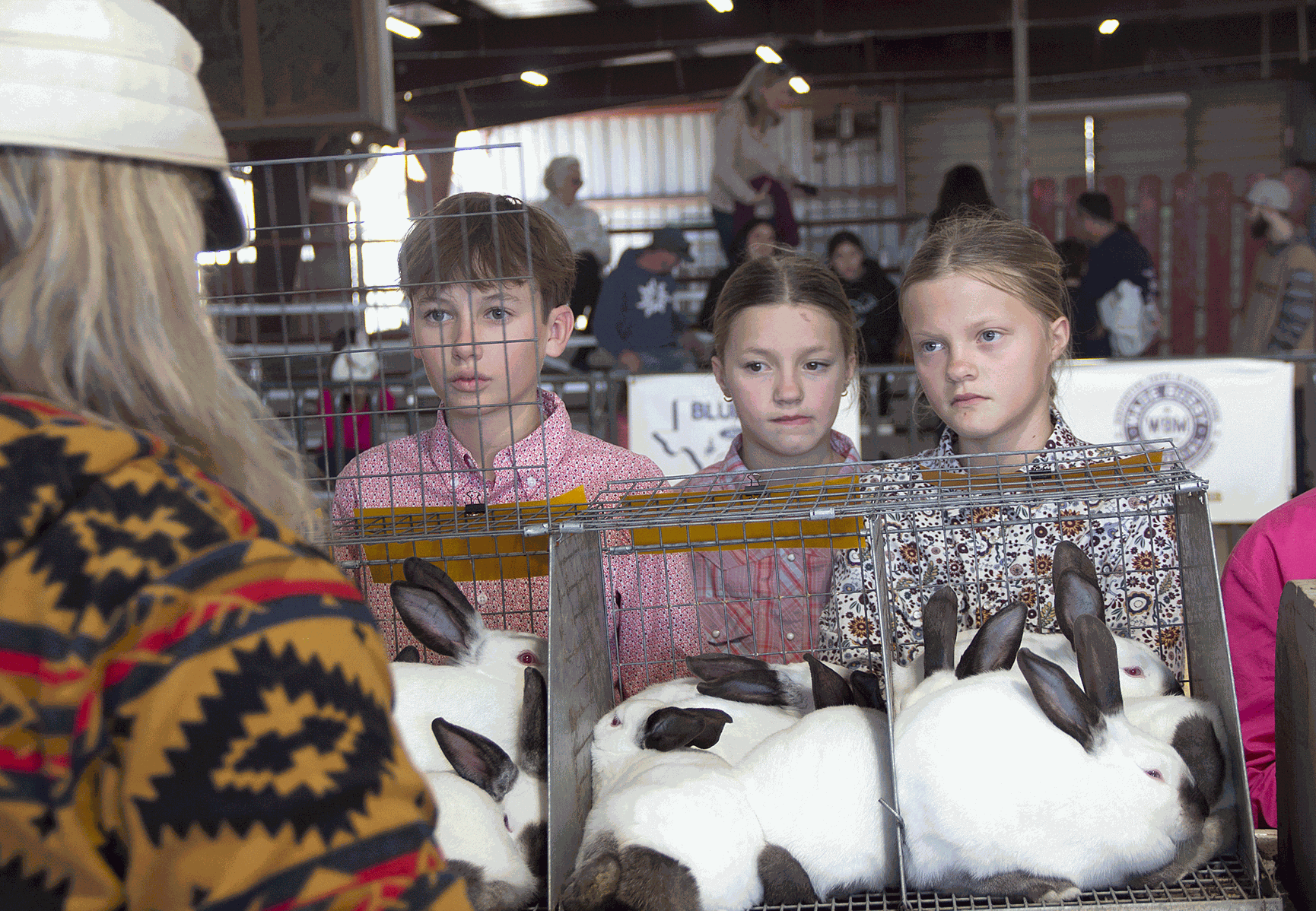 LET THE JUDGING BEGIN: Rabbits kick off 57th annual Comal County Junior ...