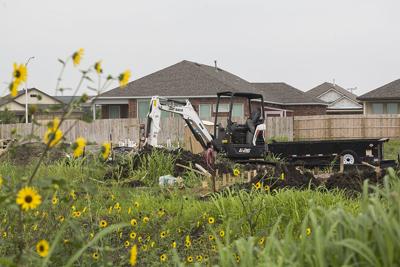 Comal Appraisal District's chief appraiser on leave pending ...