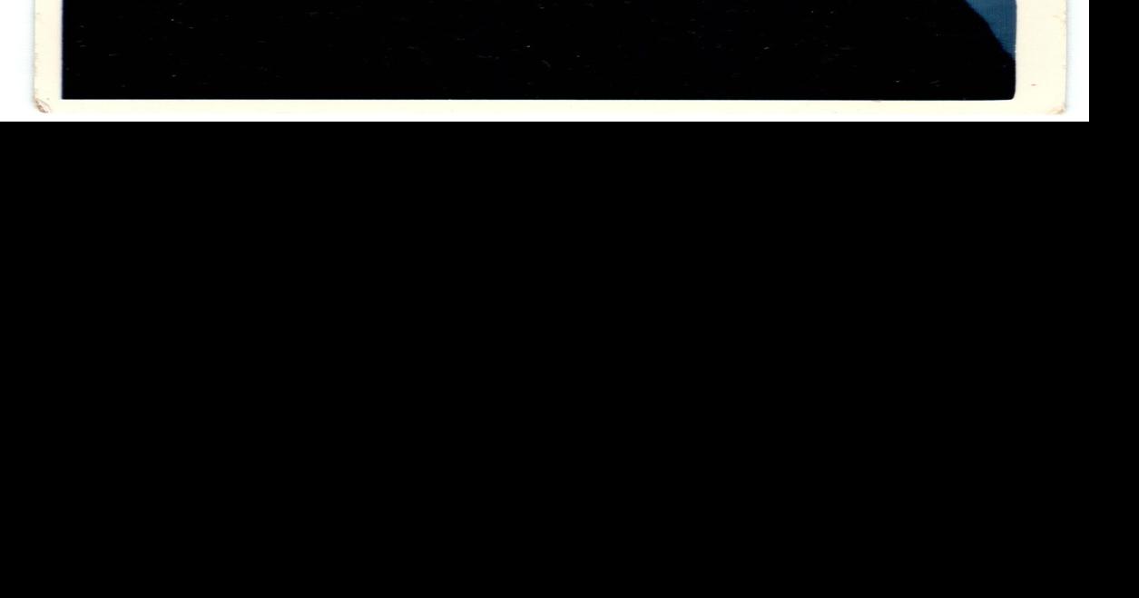 Pamela Hightower Timmermann | Obituaries | herald-zeitung.com